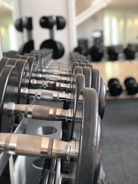 Hantel Geräte – Fitness-Studio-Trittau