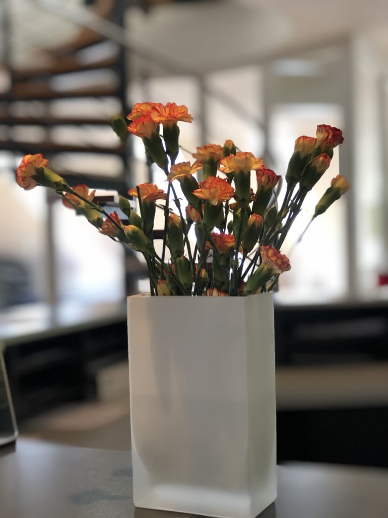 Fitness-Studio-Trittau – Relax & Sport